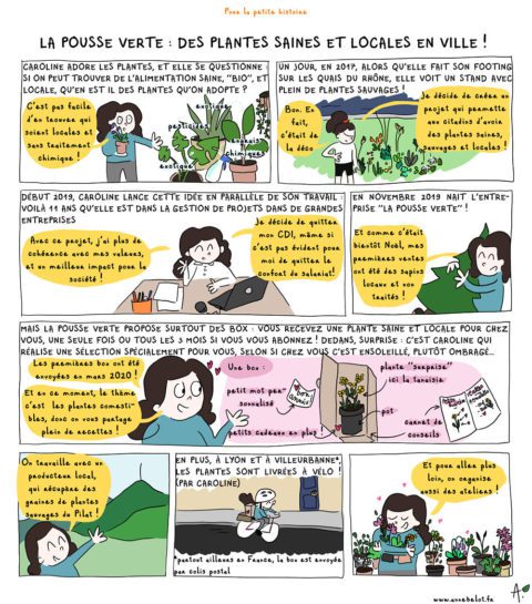 La Pousse Verte - Coffrets écoconçus et ateliers créatifs autour des ...