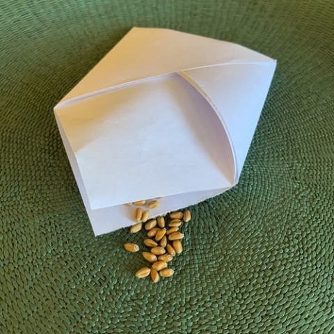 La Pousse Verte - Tuto DIY faire enveloppe pour les graines