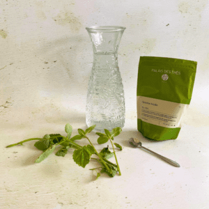 La Pousse Verte - Recette de thé glacé sauge ananas et agastache